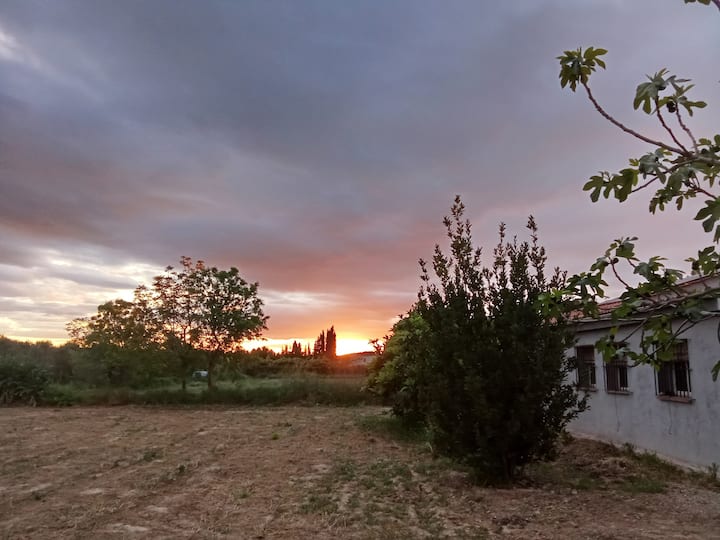 Rural House Near The Village - Les Borges Blanques
