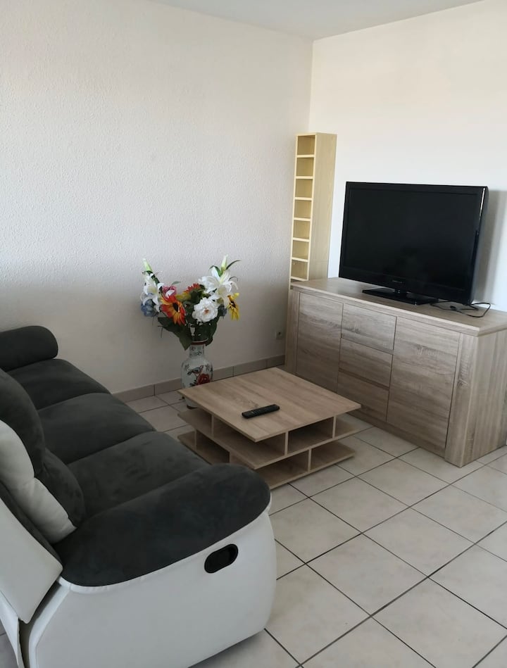 Appartement Fenouillet - Fenouillet