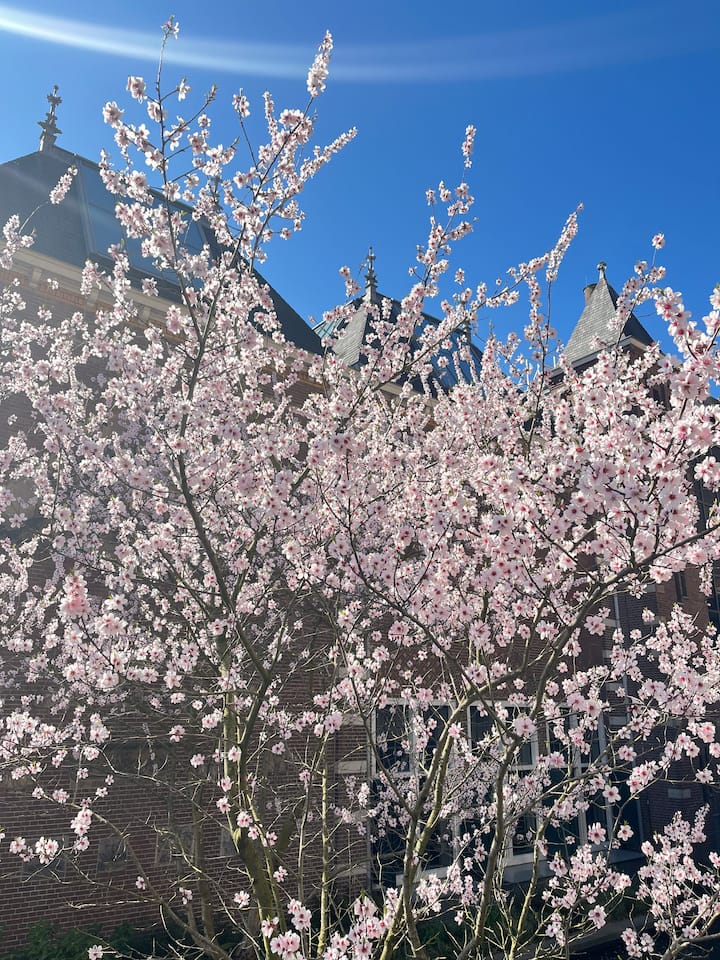 Mysig Lägenhet På Söder - Stockholm