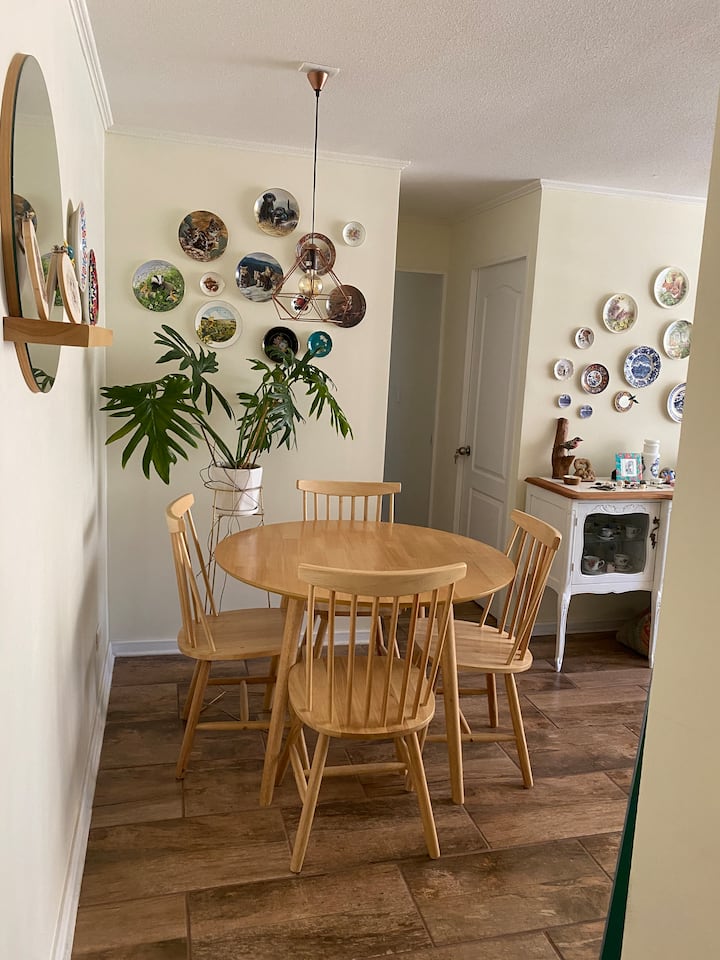 Apartamento Céntrico Los Andes - Los Andes