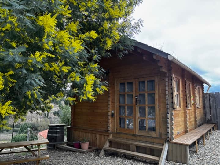 Le Chalet Des Vignes - Latour-de-France