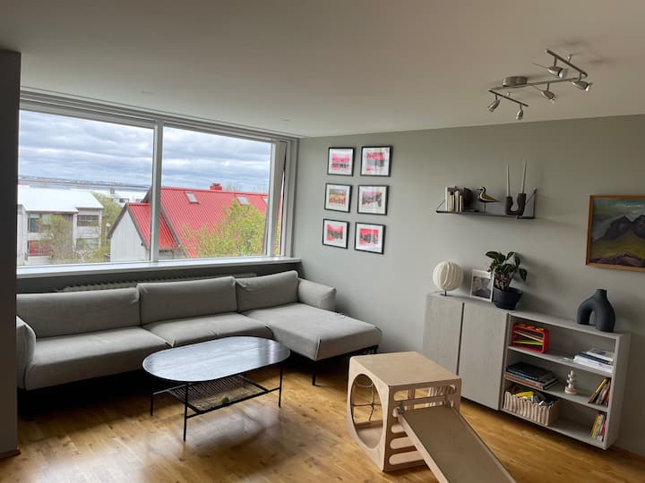 Central Apt With Stunning Views - Reykjavik
