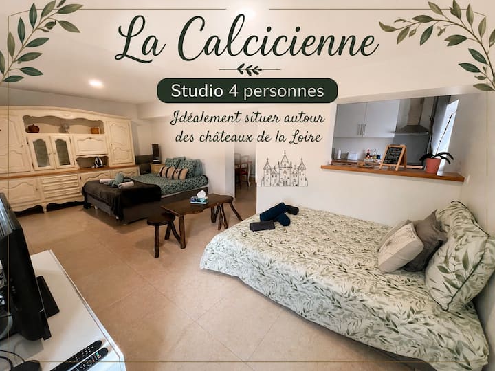 Le Gîte - La Calcicienne - Chaumont-sur-Loire