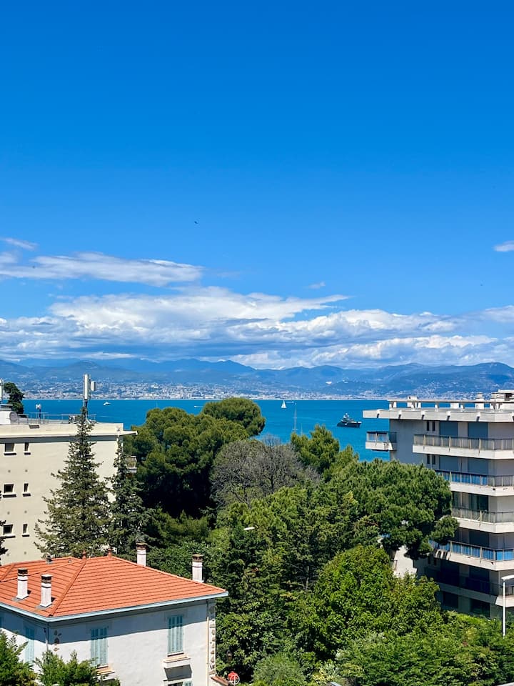 Standing/piscine/dernier ÉTages/plages/garage/wifi - Juan-les-Pins