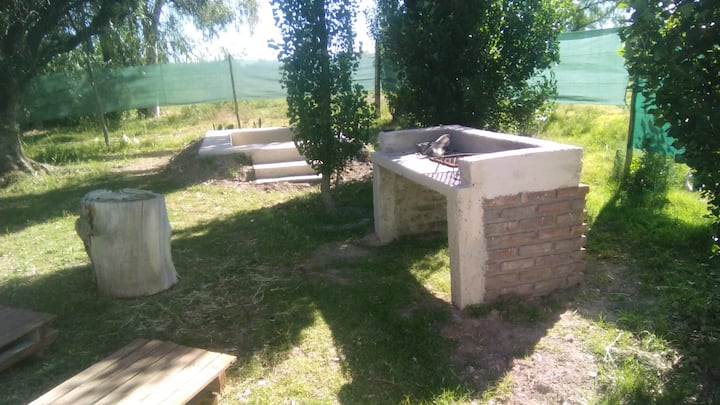 "La Mora" - Rivadavia