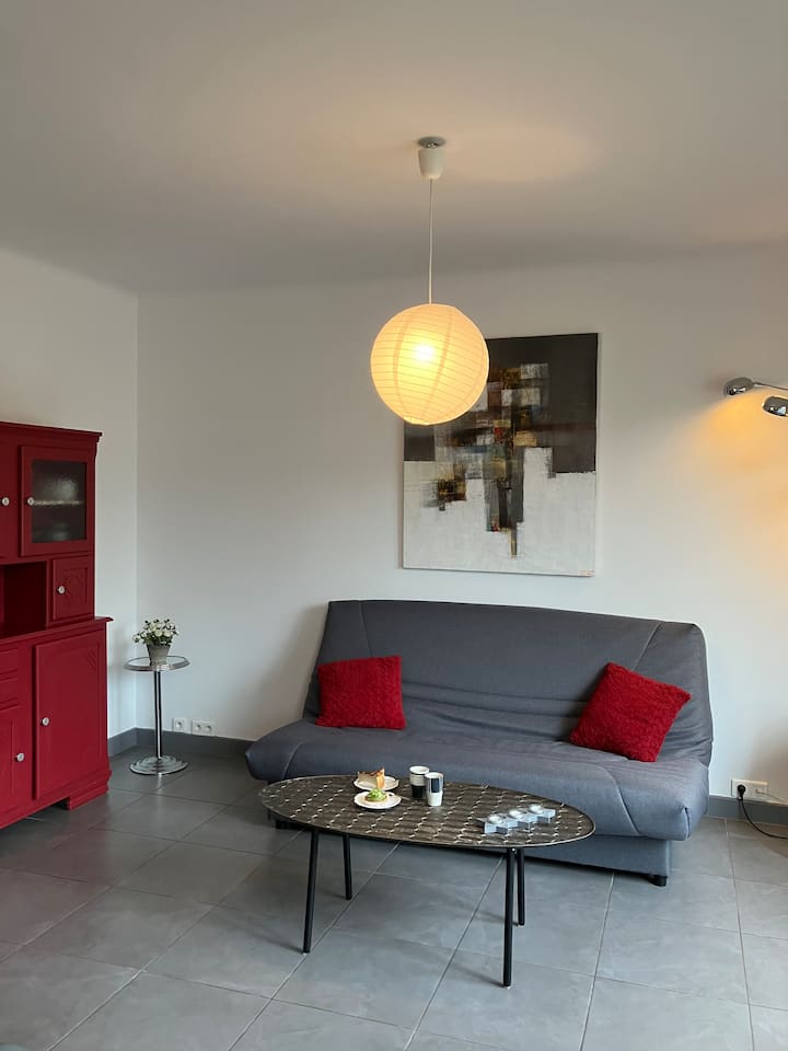 Annecy 57 M2,très Bien Situé, Proche Lac Et Ville - Annecy-le-Vieux