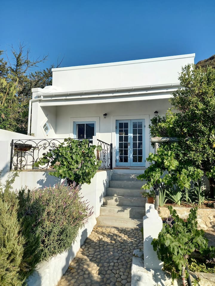 Sol Y Sombra (Sun & Shadow) - Montagu