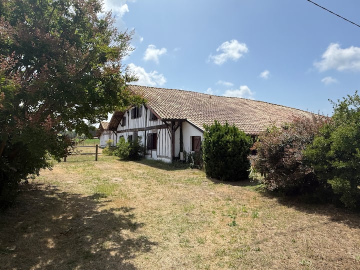 Gite Du Hardy - L'annexe - Soustons