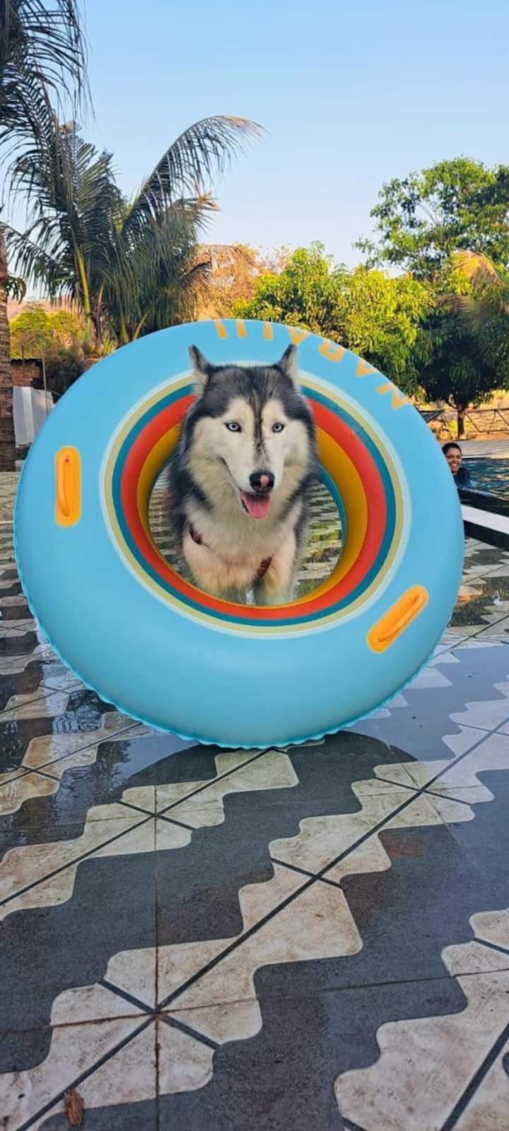 Khalapur Biggest Swimming Pool 4bhk Property. - Maharashtra