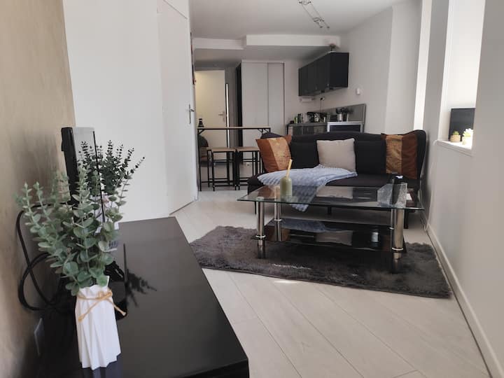 Thonon Centre Appartement - Thonon-les-Bains