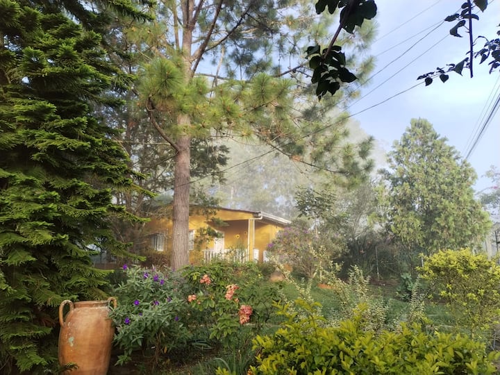 The House Of The Hummingbird In Siguatepeque - Jesús de Otoro