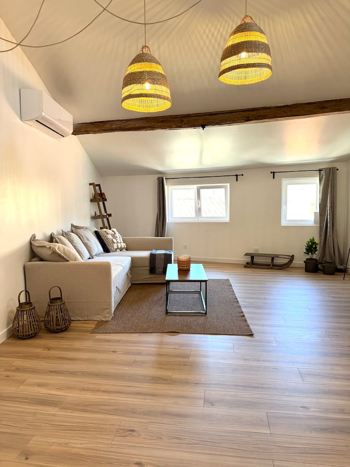 Charmant Appartement Castres - Castres