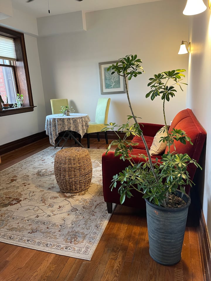 Comfy-cozy - Detroit