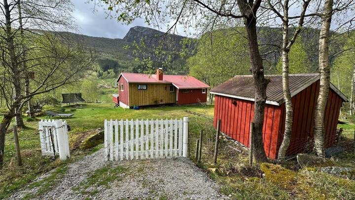 Fjellro I Enkel Standard - Liland - Tonstad