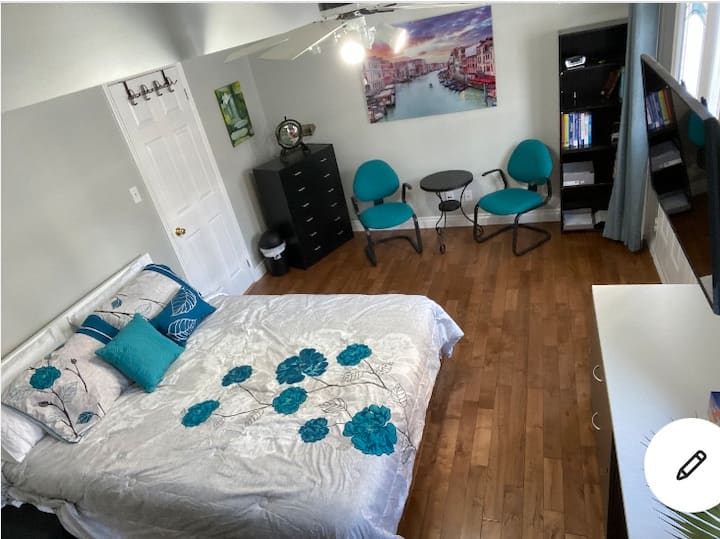 Spacious City Centre Escape - Ottawa