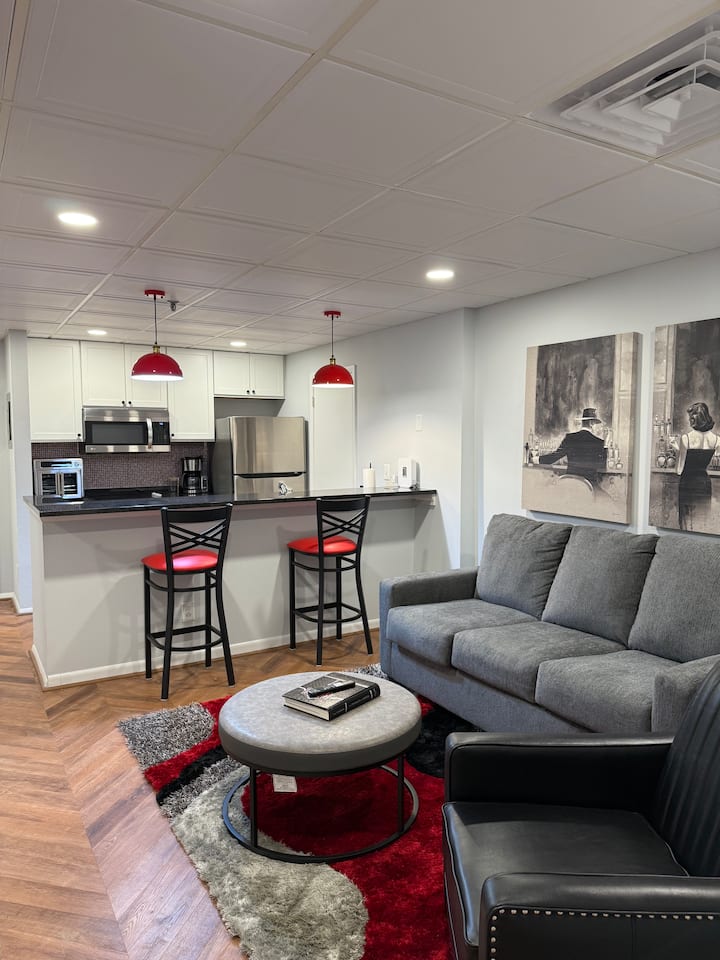 North Campus Condo-2025 Remodeled-downtown Athens - Athens, GA
