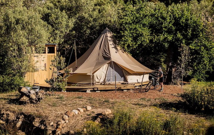 Premium - Oak - Ceres