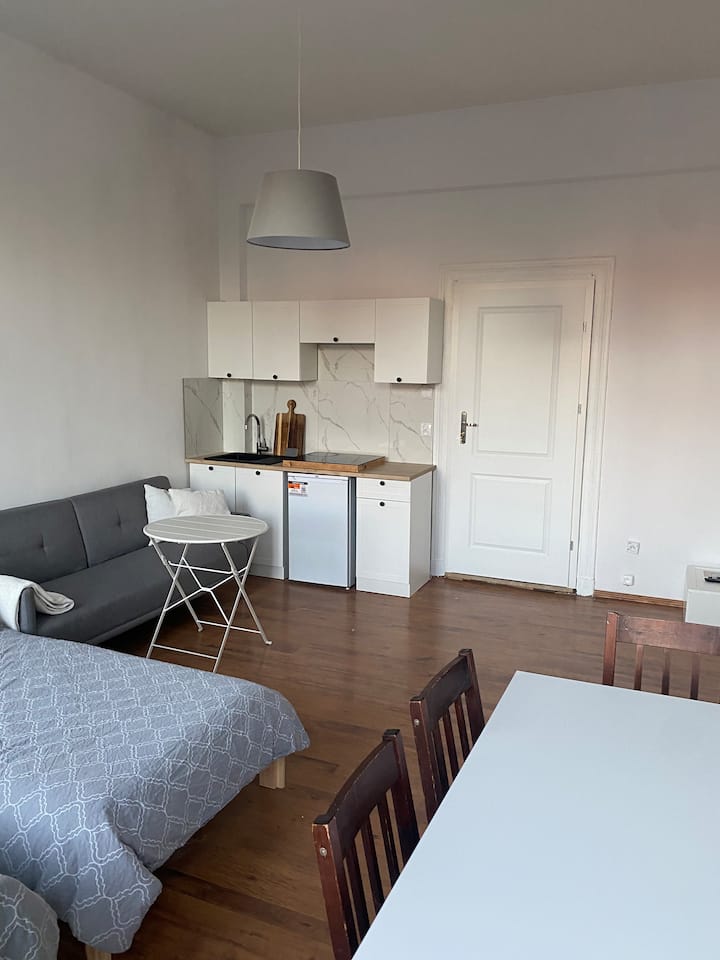 Uroczy Apartament W Centrum - Szczecin