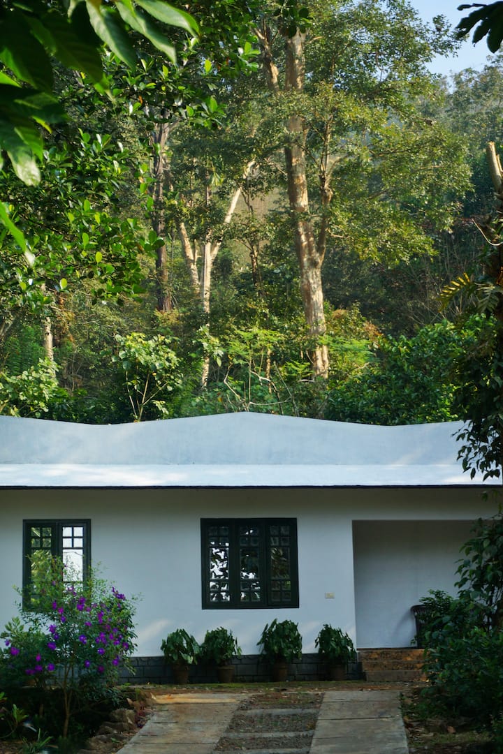 Aruvi Homestay | 3br Plantation Stay With Stream - Idukki