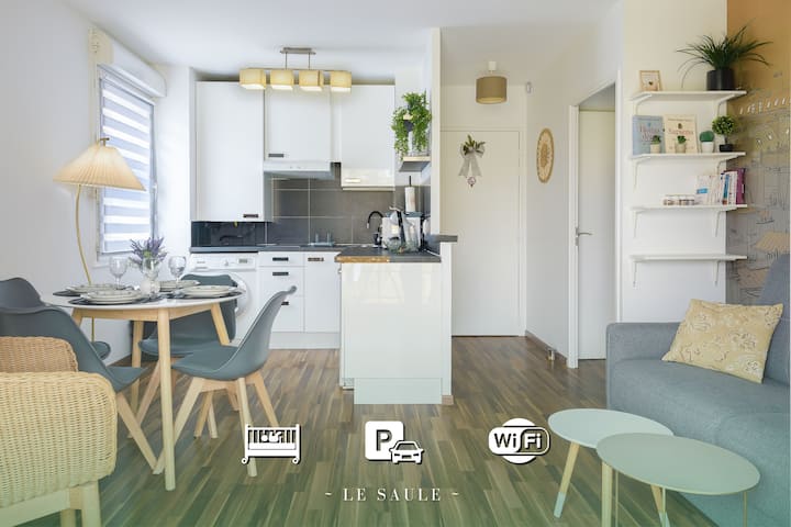 Le Saule - T2 Balcon & Parking - Disneyland - Magny-le-Hongre