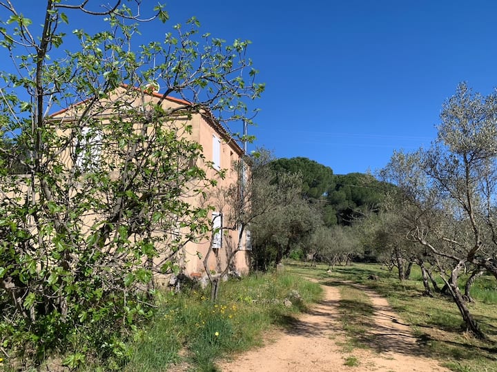 Ancienne Bergerie La Vincenette - Cotignac