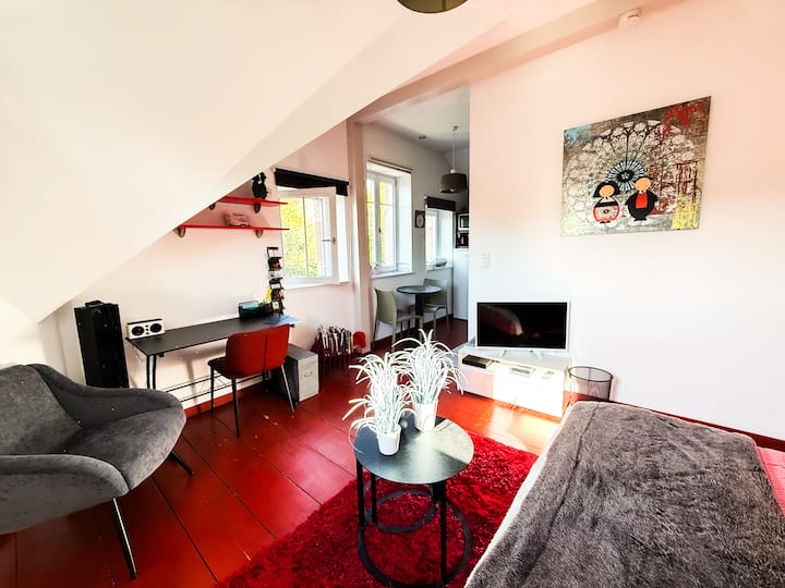 Studio Colmar 3 Min City Center - Colmar