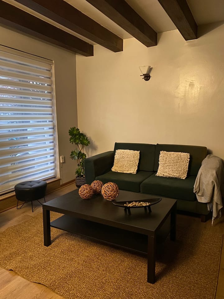 Casa Muy Cómoda Y Central - Providencia
