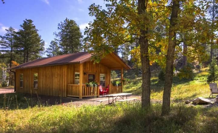 Black Hills Custom Cabin Near Mount Rushmore – Yr1 - Mount Rushmore, SD
