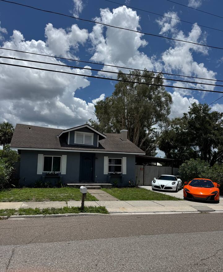 Downtown Clearwater Family Size - Dunedin, FL