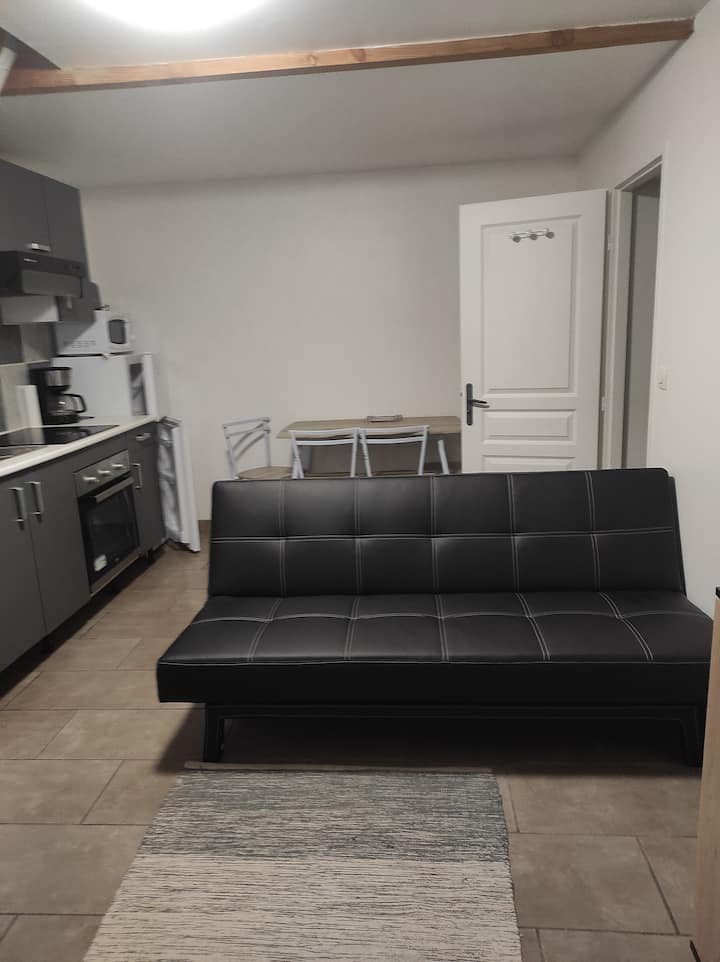 Appartement Au Centre Ville Avec Une Chambre - Langon
