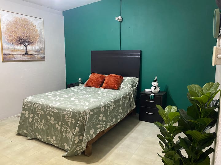 Laguna A - Tampico, Mexico