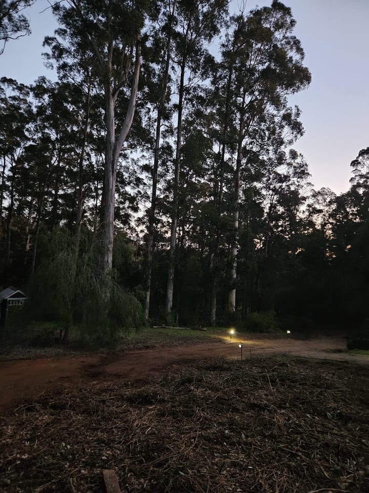 Pemberton Cottages Foxglove - Pemberton, Australia