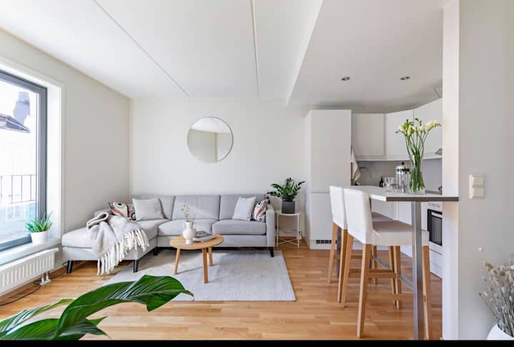 Hyggelig Leilighet I Sentrum - Oslo
