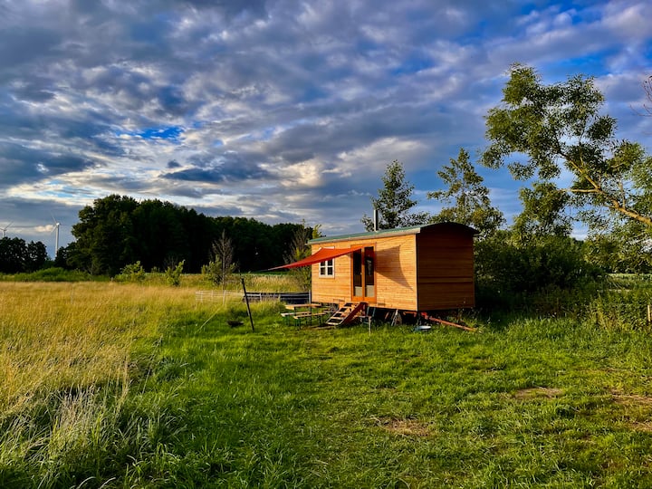 Wunderschöner Zirkuswagen Auf Der Schafweide - Uelzen