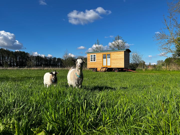 Wunderschönes Tinyhouse Inmitten Der Natur - Germany