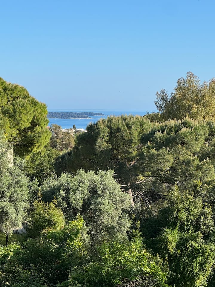 Kazanou : Appartement 2 Chambres Vue Mer. - Cannes