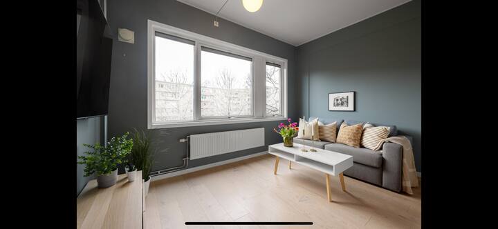 Cozy Apartament In Centrum - Oslo