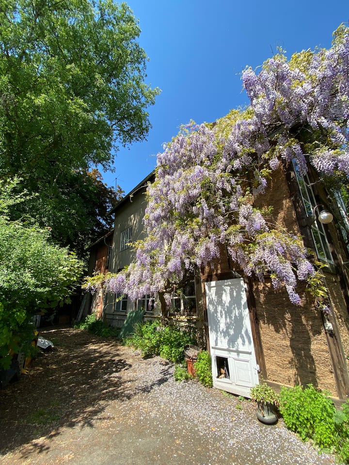 Villa Organum - Gemeinsam - Marburg