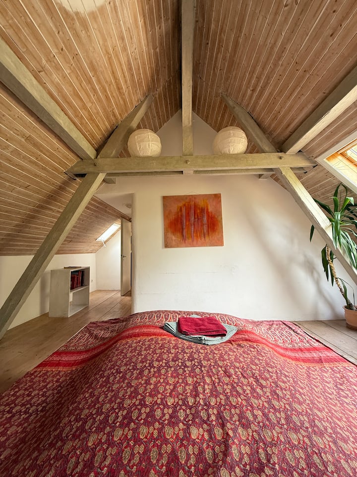 Villa Organum - Entfaltung - Marburg, Germany