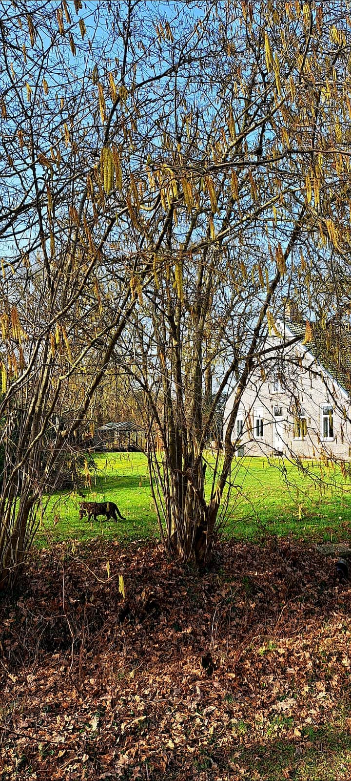 Appartement Eik En Glas - Meppel