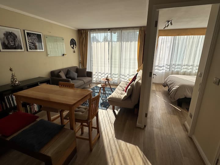 Acogedor Y Luminoso, Insuperable Ubicación. - Providencia, Chile