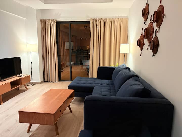 Beautiful New Furnished & Well Situated Apartment - Addis Ababa