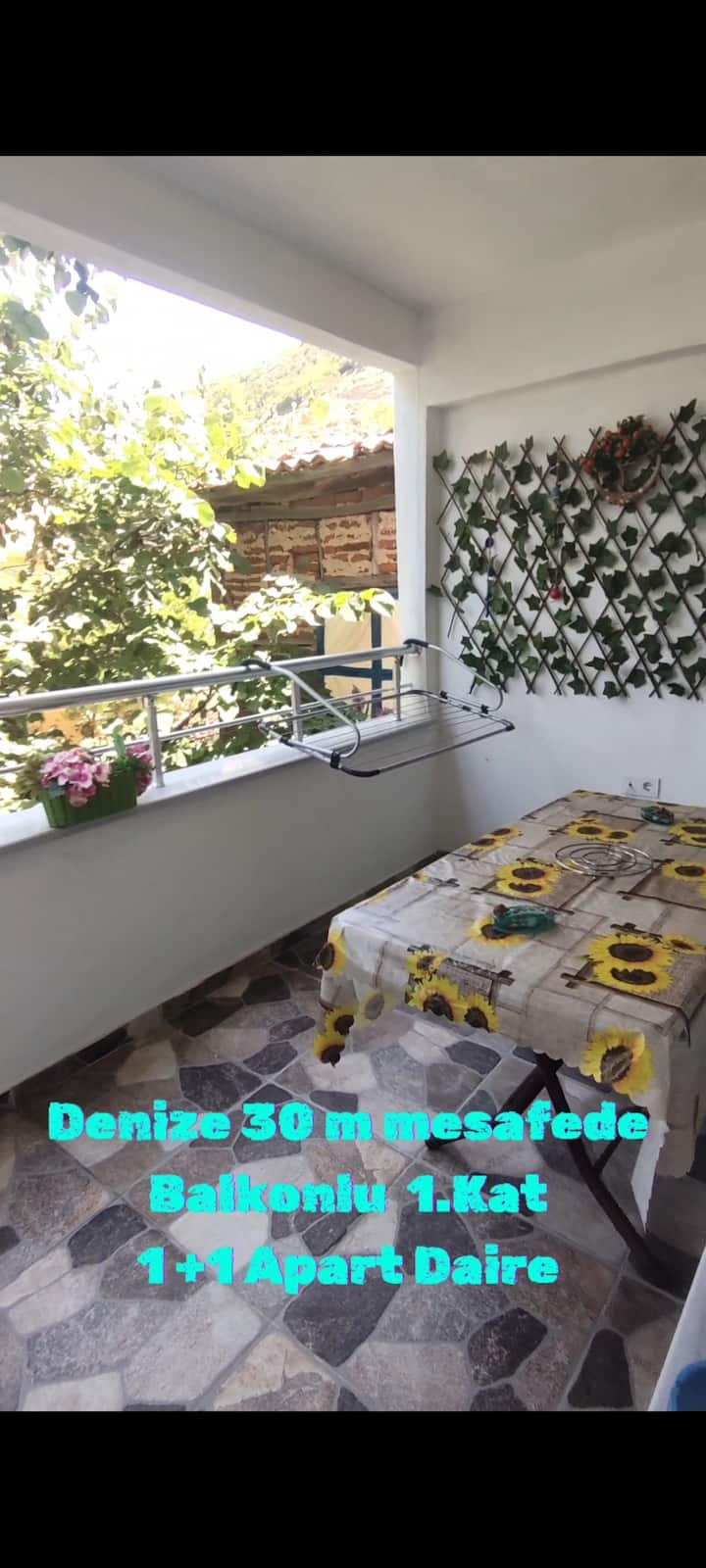 Ormanlı Tatil Evleri 1.kat 1+1 - Ocaklar