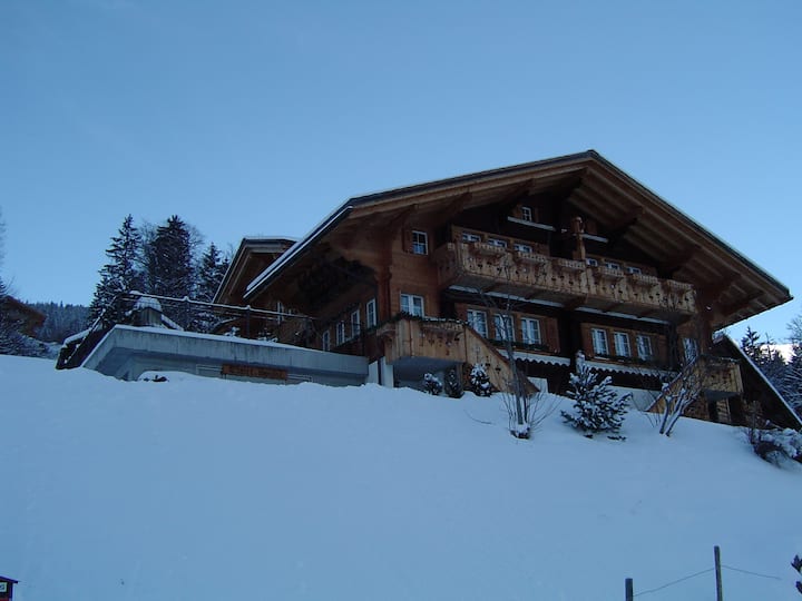 Tolle Wohnung Im Erdgeschoss - Grindelwald