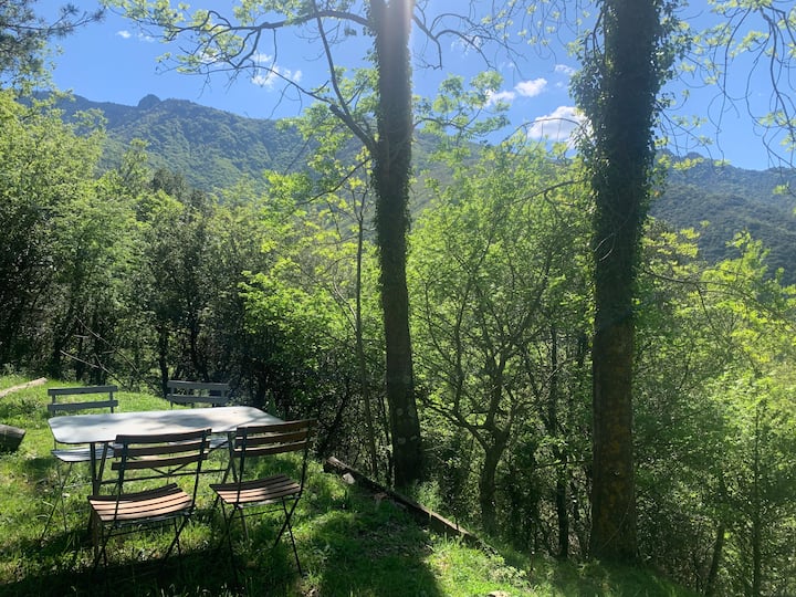 Petit Chalet En Pleine Nature - Proche Canigou - Costa Brava
