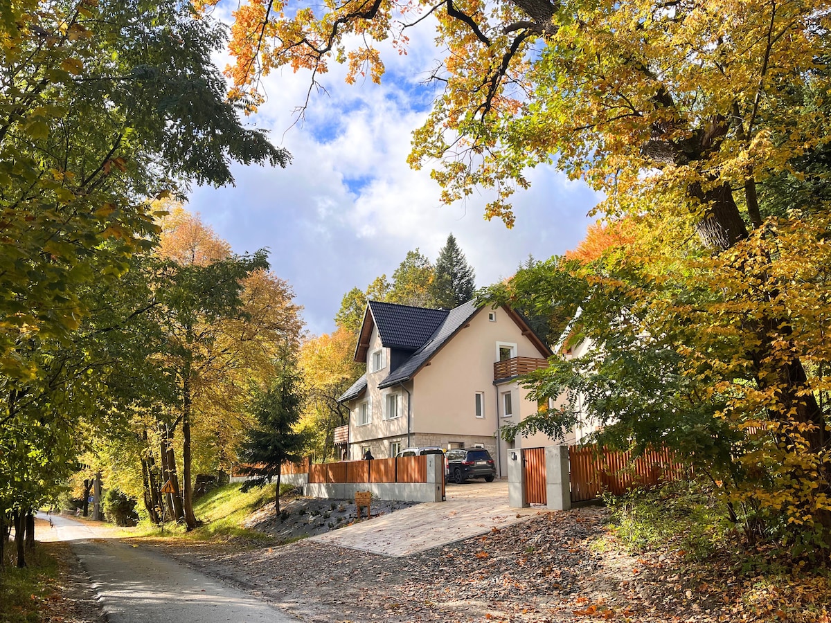 The Red Trail Cottage_R3 - Houses for Rent in Cisiec, Silesian ...