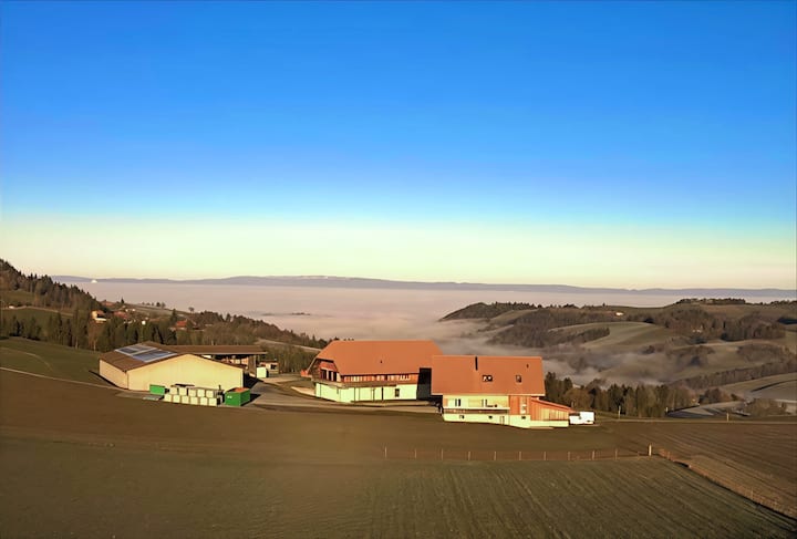 Apartment With A View - Suisse