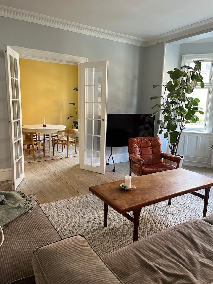 Beautiful Old Copenhagen Apartment - Copenhaguen