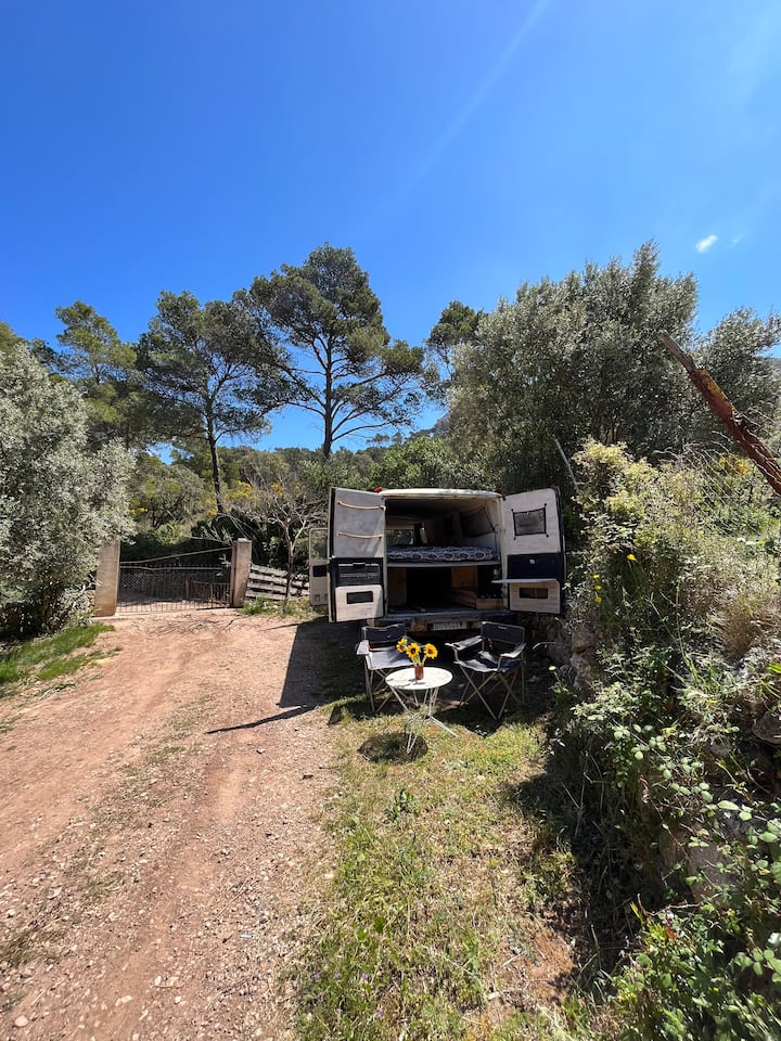 Furgoneta Acogedora - Mallorca