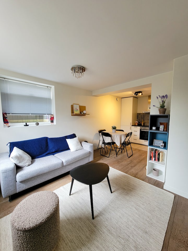 Fin Og Romslig Leilighet - Ålesund